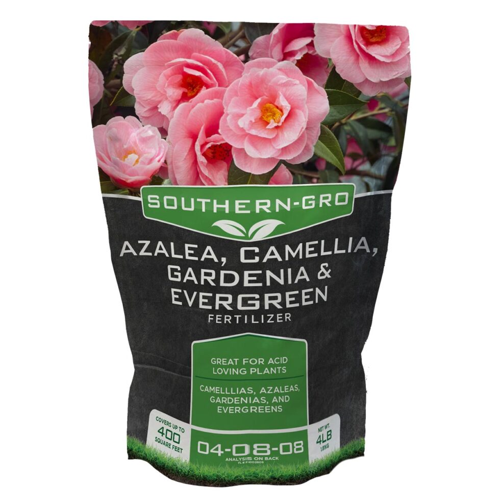 Azalea, Camelia, Gardenia Fertilizer | SouthernGro Fertilizer